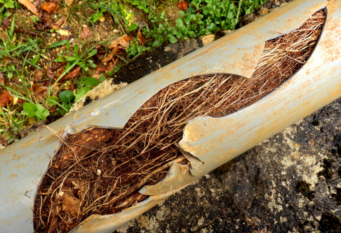 6 Sewer Backup Causes & How to Fix Them - Cates Heating And Cooling