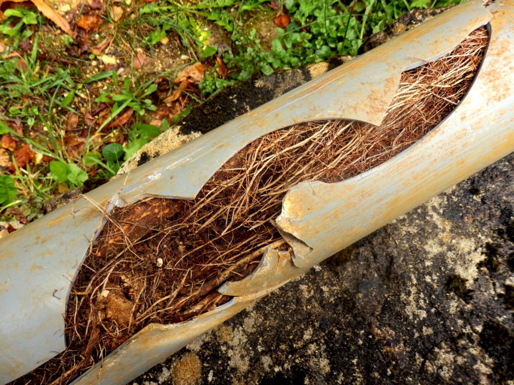6 Sewer Backup Causes & How to Fix Them - Cates Heating And Cooling